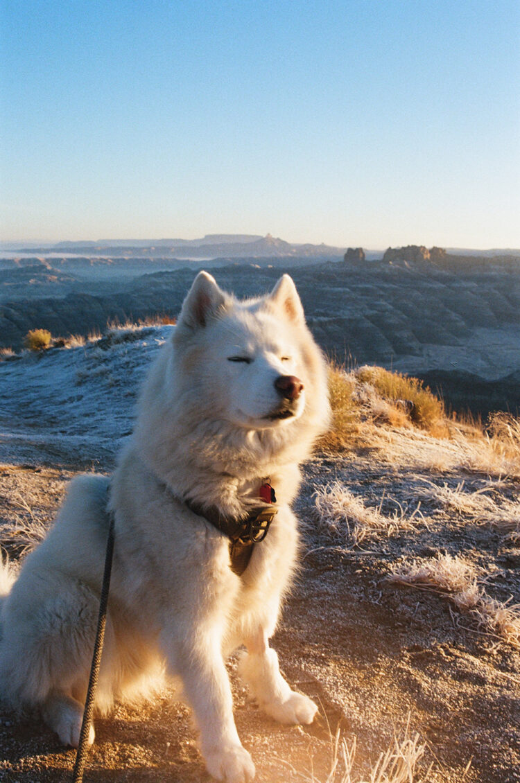 Artists – Kintzing Licensing